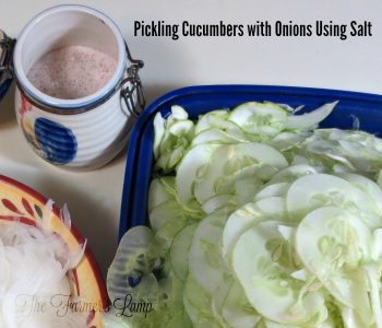 A Guide to Salting Food Preservation - Countryside